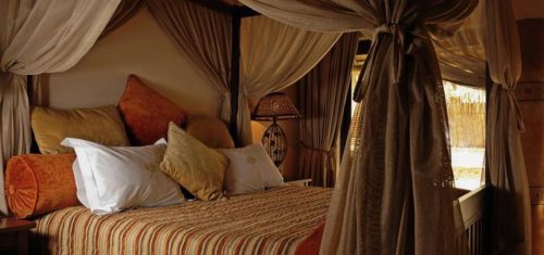Ivory Tree Game Lodge | Pilanesberg National Park | Safari Guide Africa