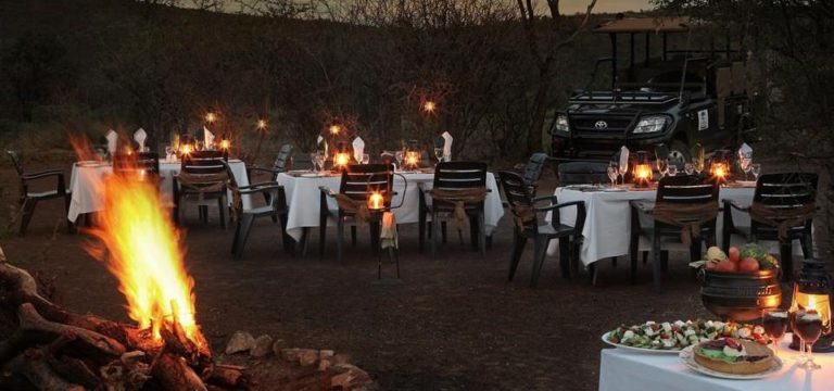 Ivory Tree Game Lodge | Pilanesberg National Park | Safari Guide Africa