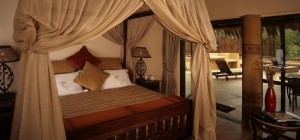 Ivory Tree Game Lodge | Pilanesberg National Park | Safari Guide Africa
